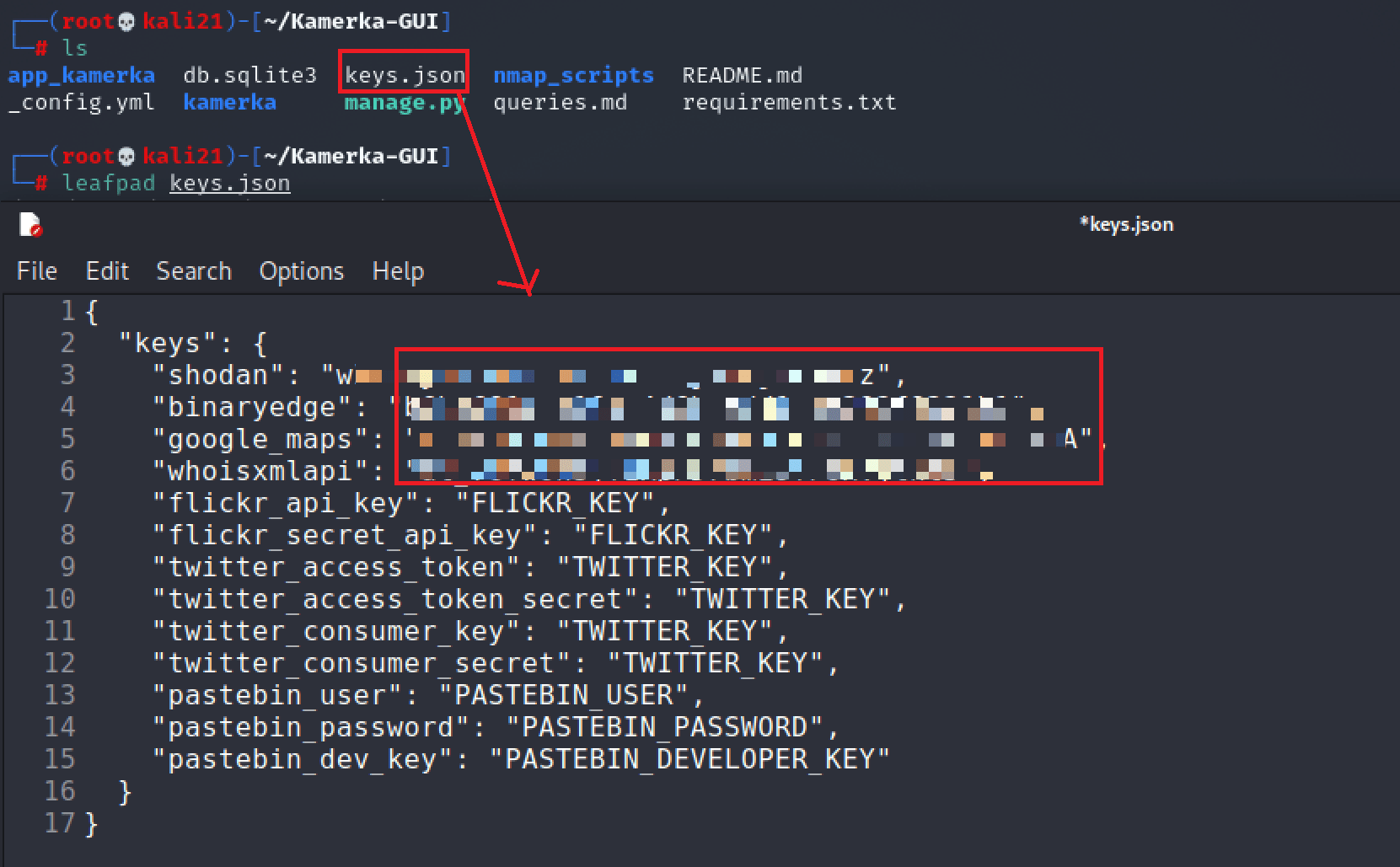 Kamerka: Shodan OSINT - Malware SA