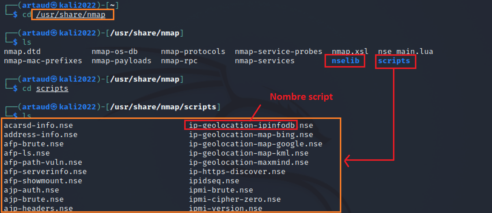 NMAP Kali Linux - Malware SA